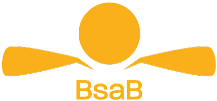 BsaB e.V – Bundesverband staatlich anerkannter Blindenwerkstätten e.V.